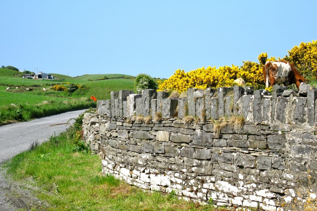 Traveling in Ireland | DesignDestinations