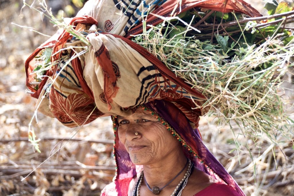 Visiting the villages near Kavant, India | DesignDestinations