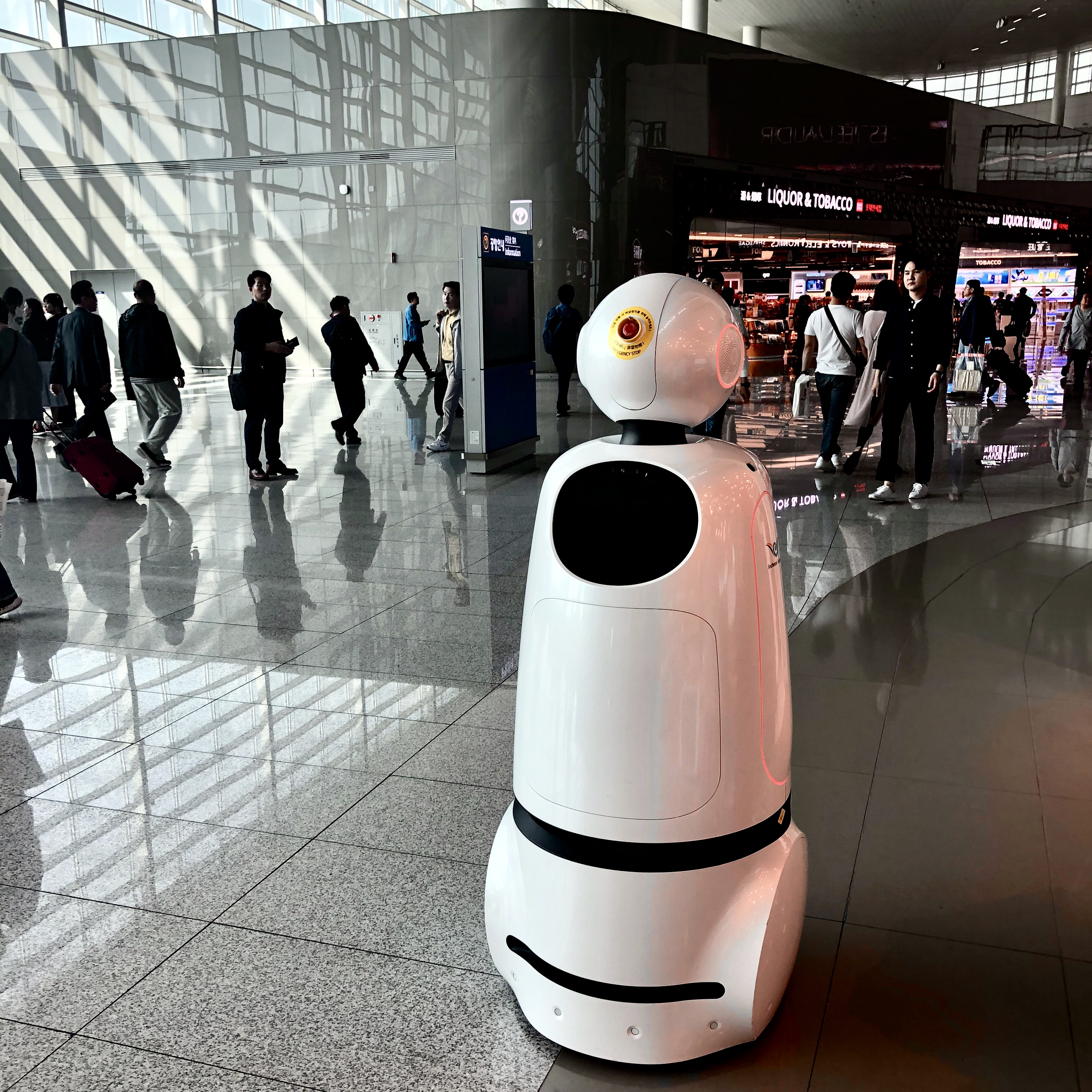 Encounter with a Robot in Seoul | DesignDestinations