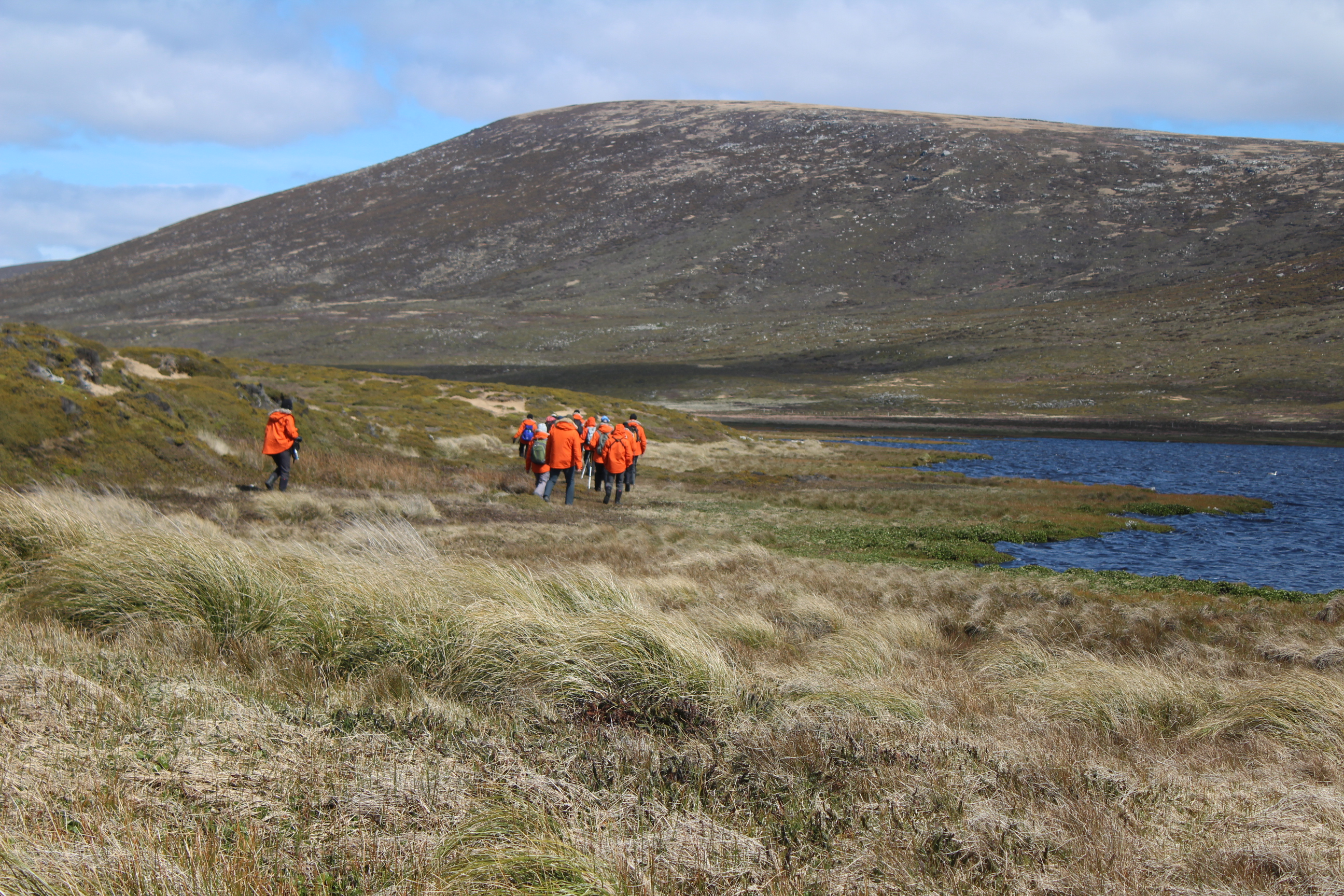 A Visit to the Falkland Islands | DesignDestinations