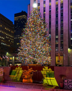 Deck the Halls……with Holiday Lights | DesignDestinations