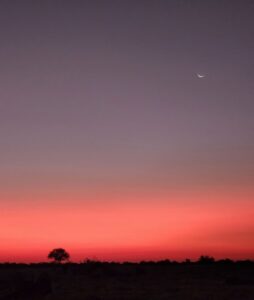 Sunrise, Sunset in Namibia | DesignDestinations