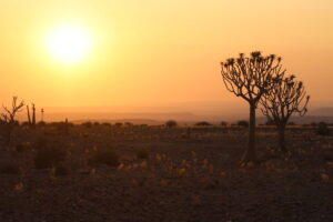 Sunrise, Sunset in Namibia | DesignDestinations