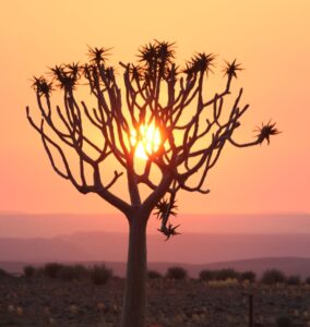 Sunrise, Sunset in Namibia | DesignDestinations