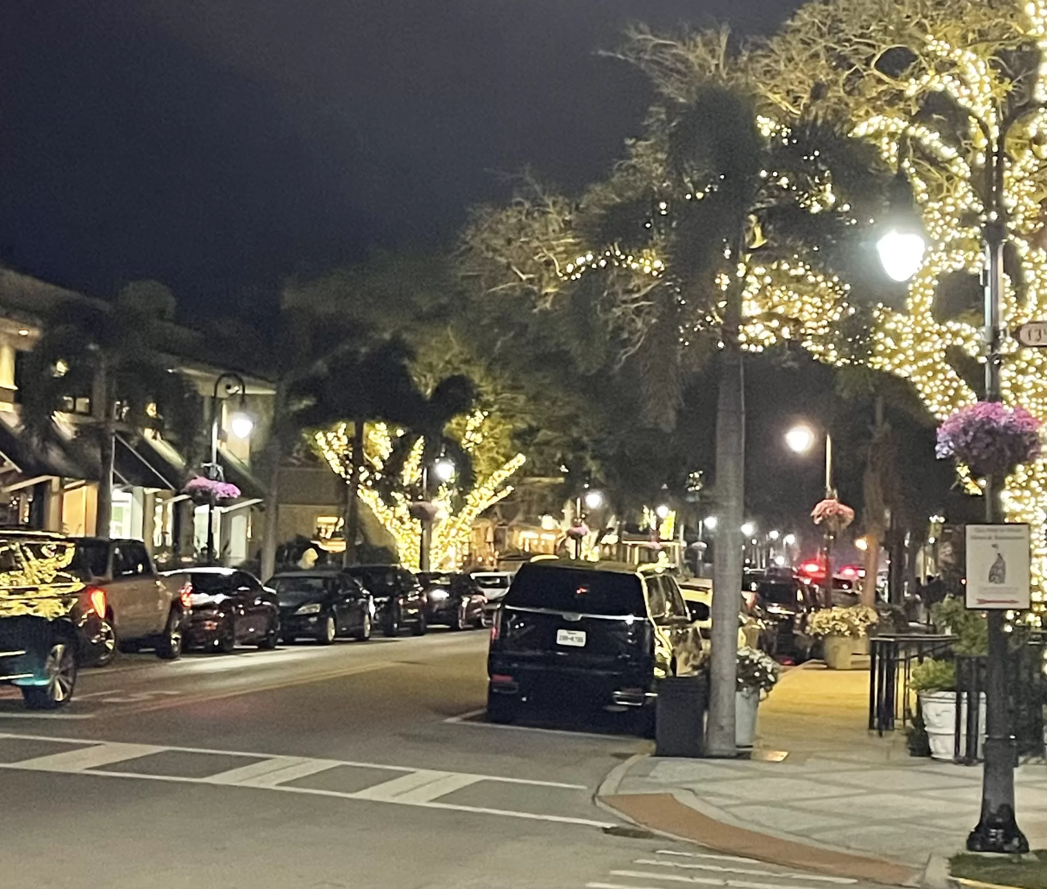 Goin’ Native in Old Naples, Florida, Spring 2024 | DesignDestinations