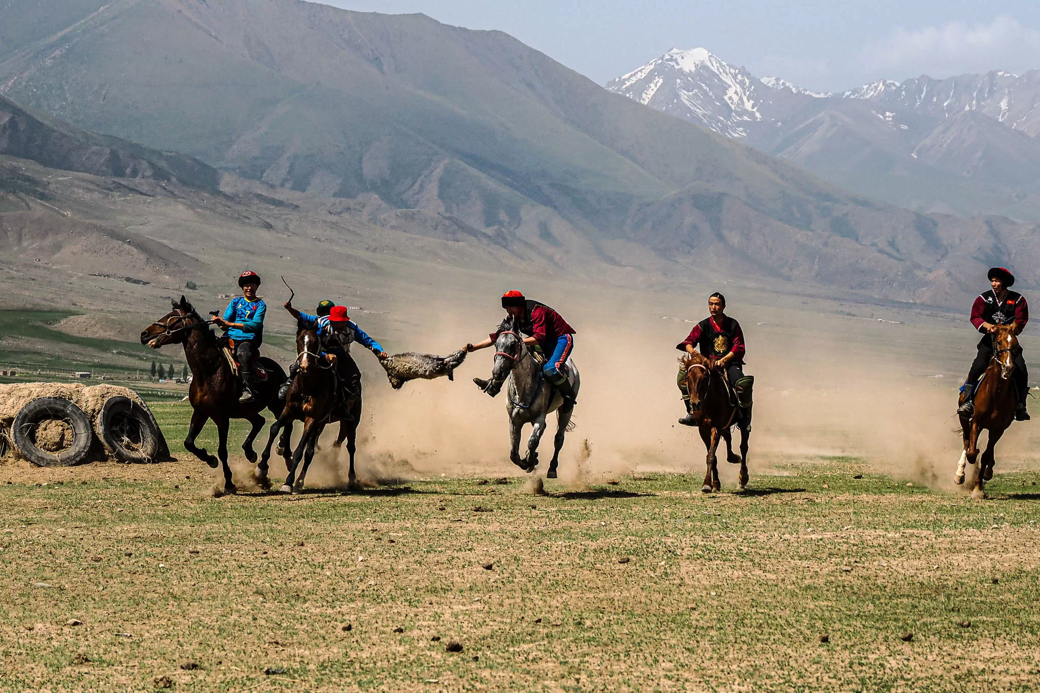 Kok Boru: Ready Set Goat! | DesignDestinations